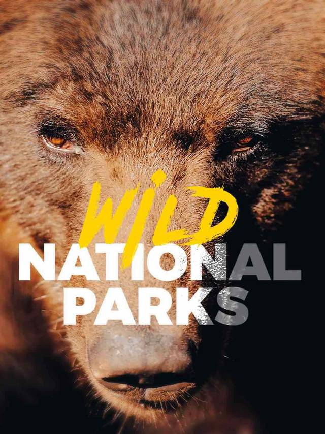 Educational Movie List | ReelShort