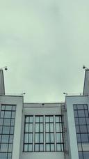 Obsessed with His Silent Bride Full Episodes | ReelShort